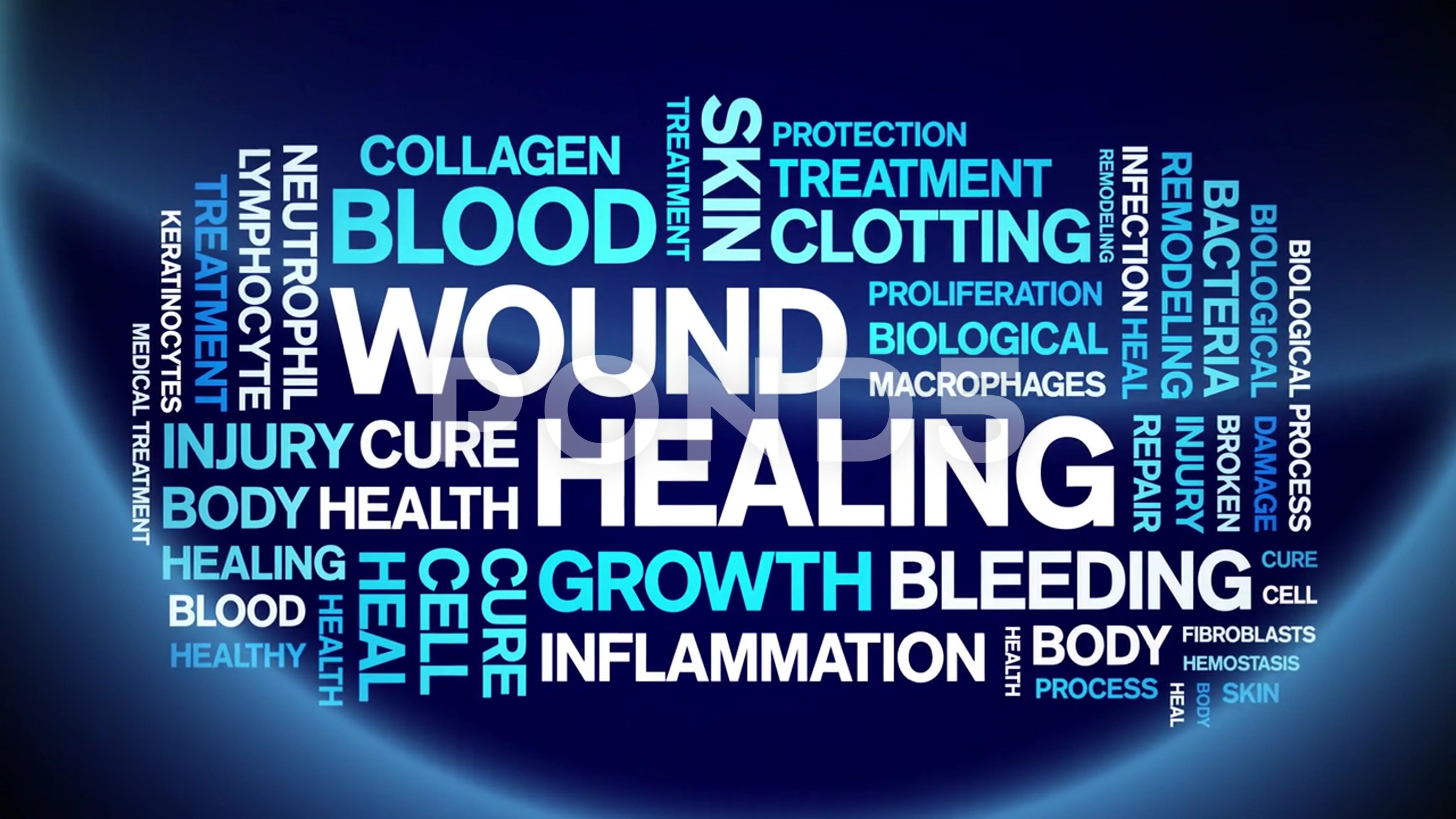 Wound Healing Animation