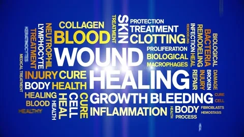 Wound Healing Animation
