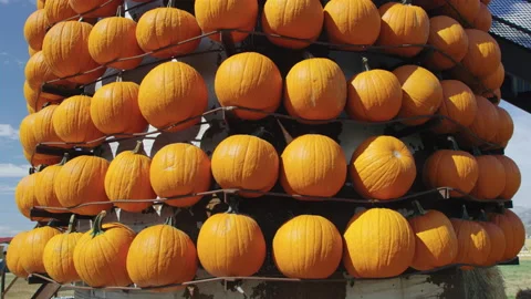 Wraparound farm silo lined with bright o... | Stock Video | Pond5