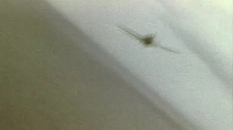 Pov Plane Crash Stock Videos – Royalty-Free HD & 4K Videos