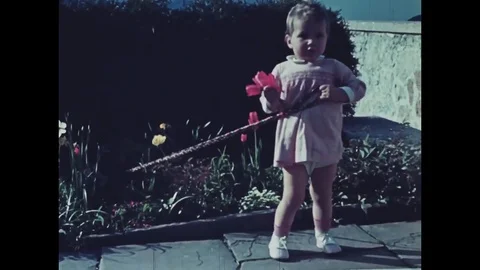 Schneider & Stock Videos – Royalty-Free HD & 4K Videos