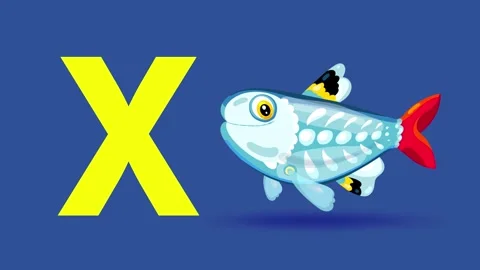 X letter big color x-ray fish cartoon an... | Stock Video | Pond5