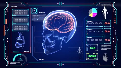 x ray animation video of Skull Brain Bon... | Stock Video | Pond5