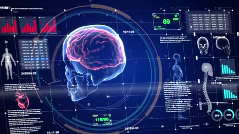 x ray animation video of Skull Brain Bon... | Stock Video | Pond5