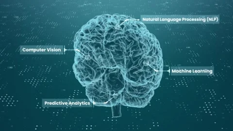 X-Ray Brain Pointing to Four Major AI Ar... | Stock Video | Pond5