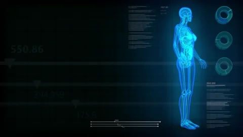 Transparent Body Overlay Stock Video Footage | Royalty Free Transparent ...