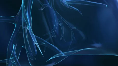 X-ray Human lungs. Human lungs with bron... | Stock Video | Pond5