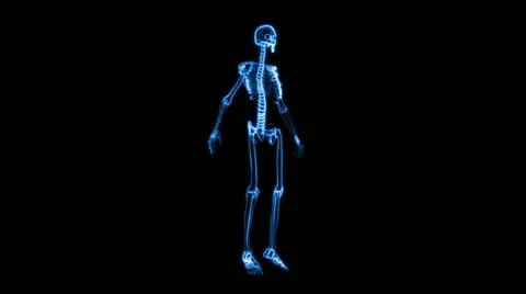 x-ray scan of human skeleton (hd) | Stock Video | Pond5