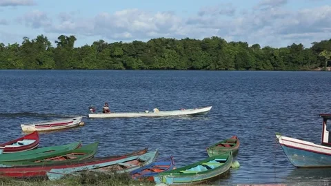 Amazon Big Clips Stock Videos – Royalty-Free HD & 4K Videos | Pond5