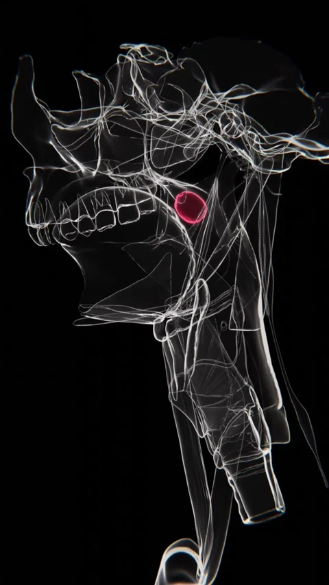 Tonsils D Stock Videos – Royalty-Free HD & 4K Videos