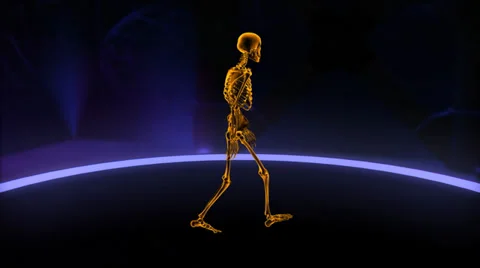 Skeleton Walking Stock Footage ~ Royalty Free Stock Videos | Page 3