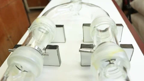 Y - shaped olfactometer experiment testi... | Stock Video | Pond5
