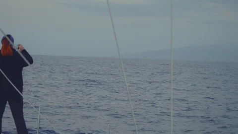 Board For Pictures Stock Videos – Royalty-Free HD & 4K Videos