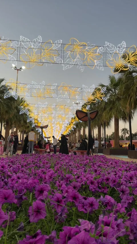 Yanbu, Madinah region, Saudi Arabia. Flo... | Stock Video | Pond5