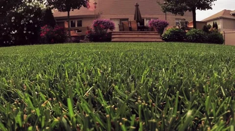 Yard chores cutting lawn with grass mowe... | Stock Video | Pond5