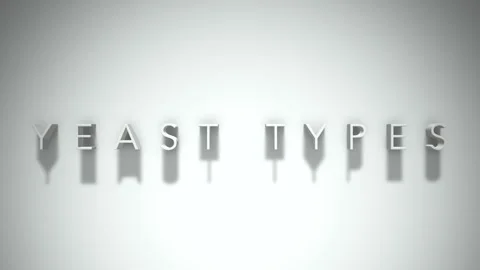 yeast types 3D title animation with shad... | Stock Video | Pond5