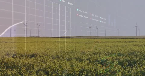 Still Holding Stock Videos – Royalty-Free HD & 4K Videos | Pond5