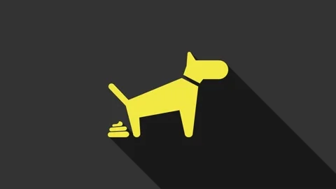 Shadow Pooping\ Stock Videos – Royalty-Free HD & 4K Videos