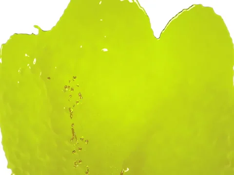 yellow drops falling on white screen. Cl... | Stock Video | Pond5