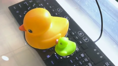 Yellow duck on the black keyboard backgr... | Stock Video | Pond5