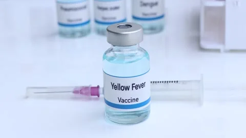 Yellow Fever vaccine in a vial, immuniza... | Stock Video | Pond5