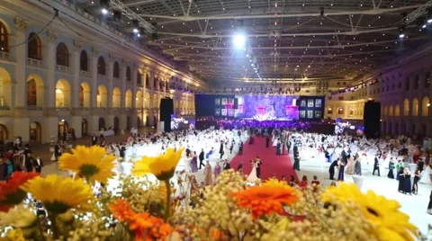 Fandango W Stock Videos – Royalty-Free HD & 4K Videos