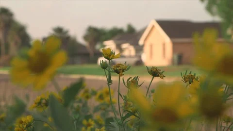 Videos Of Blowing Stock Videos – Royalty-Free HD & 4K Videos | Pond5