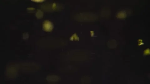 Oppenheimer Stock Video Footage | Royalty Free Oppenheimer Videos | Pond5