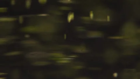 Oppenheimer Stock Videos – Royalty-Free HD & 4K Videos