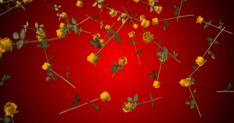 Roses Falling Stock Video Footage | Royalty Free Roses Falling Videos ...