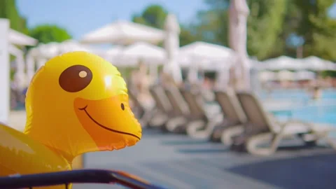 Rubber Duck] Stock Videos – Royalty-Free HD & 4K Videos | Page 3