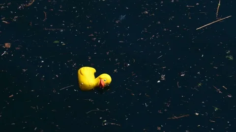 Rubber Duck] Stock Videos – Royalty-Free HD & 4K Videos | Page 3