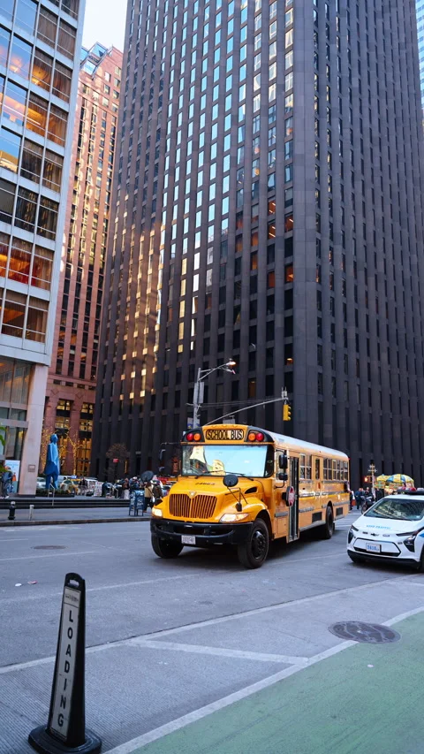 School Bus Ride Stock Videos – Royalty-Free HD & 4K Videos | Page 2