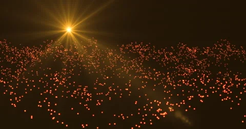 Casting Star Stock Videos – Royalty-Free HD & 4K Videos