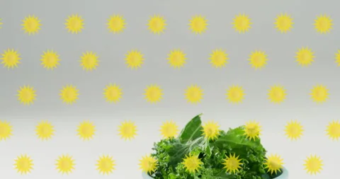 Yellow sun shapes animation over bowl of... | Stock Video | Pond5
