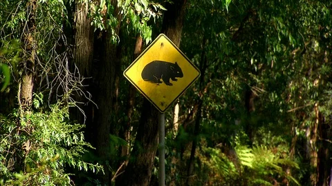 Standing Warning Sign Stock Videos – Royalty-Free HD & 4K Videos | Page 3