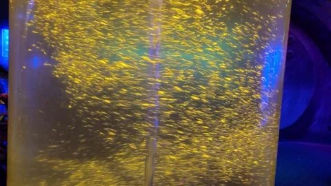 Yellow Water Vortex Exploratorium and Ch... | Stock Video | Pond5