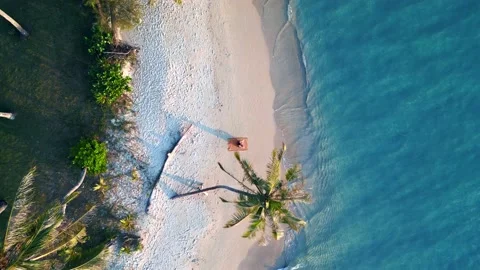 Yoga girl on mat under palm trees on dre... | Stock Video | Pond5