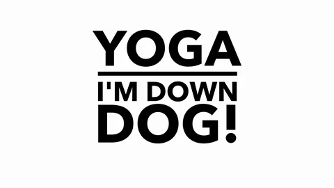 Im A Adog Stock Videos – Royalty-Free HD & 4K Videos | Pond5