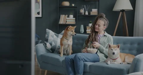 Dogs Watch Tv Stock Videos – Royalty-Free HD & 4K Videos