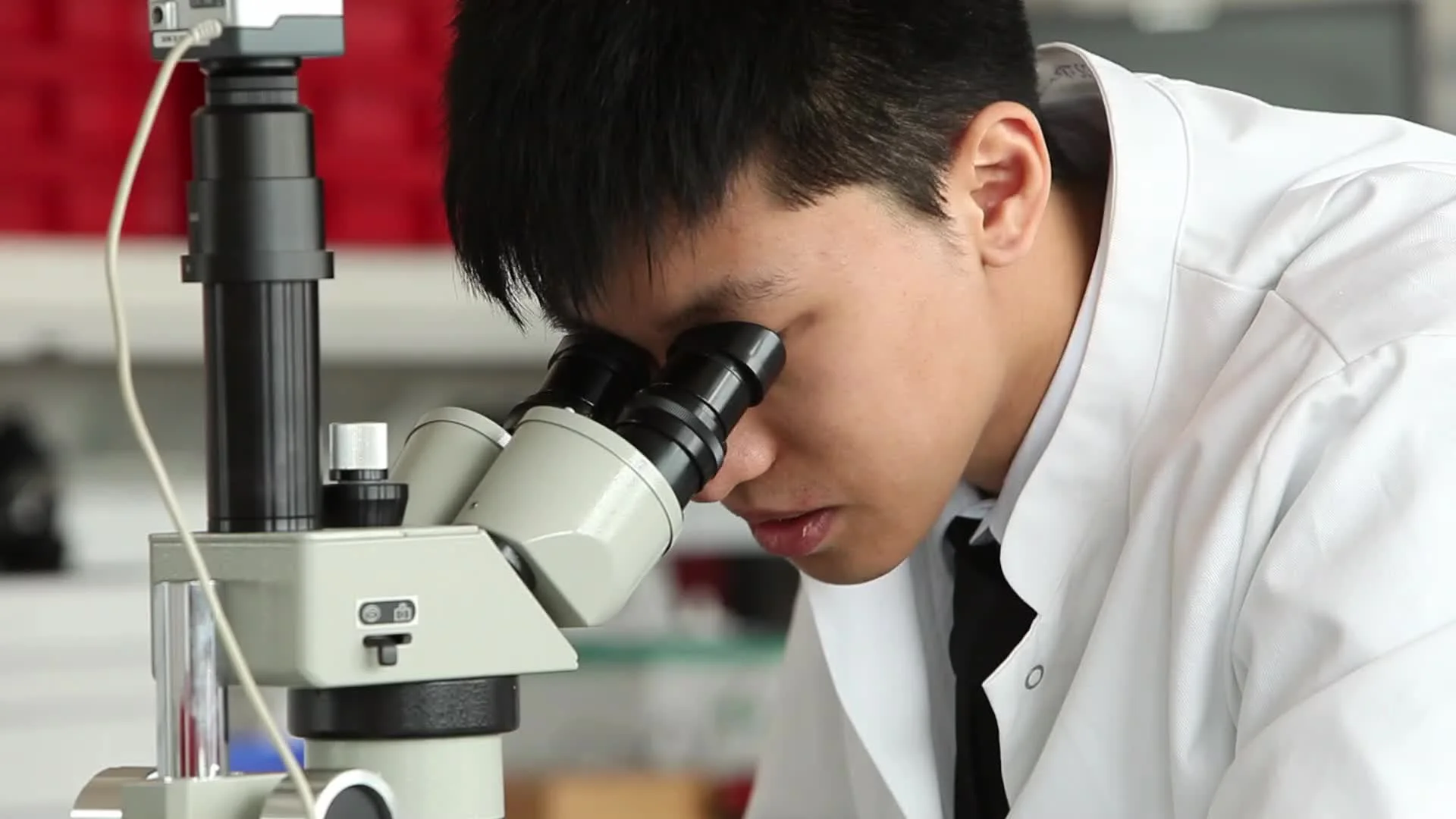 Person Looking Through Microscope