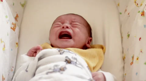 Stock Footage by Earthview | Official Pond5 Storefront