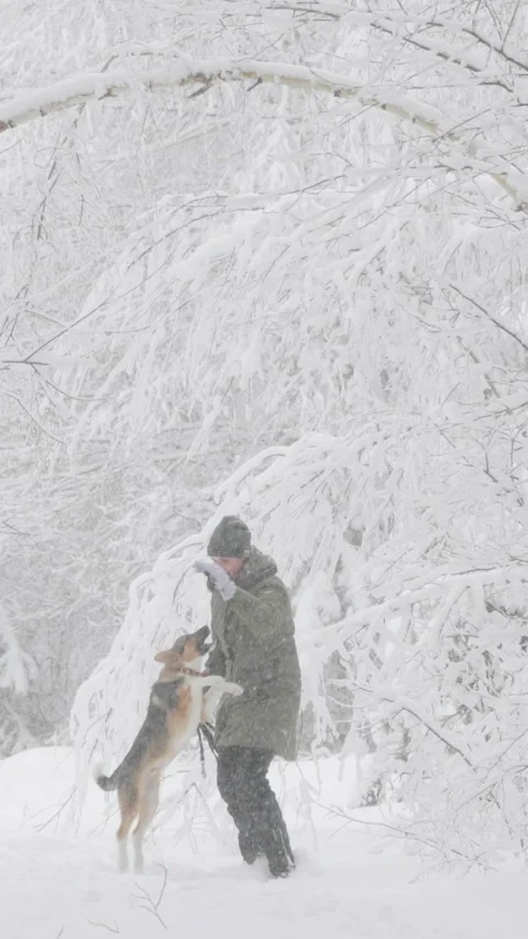 Woman Wiht Woman Stock Videos – Royalty-Free HD & 4K Videos