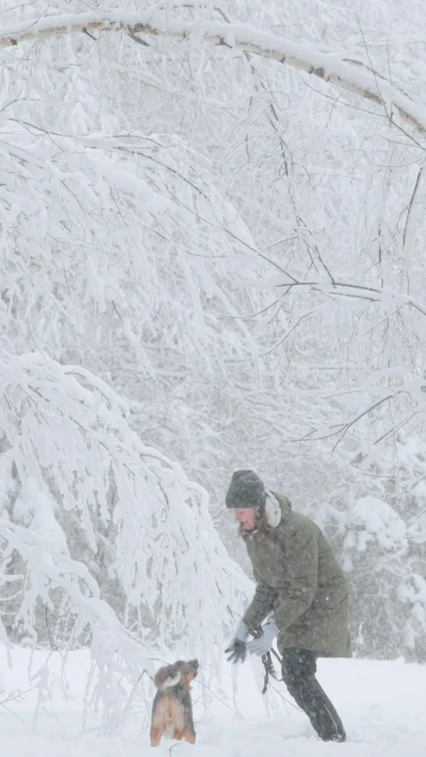 Woman Wiht Woman Stock Videos – Royalty-Free HD & 4K Videos