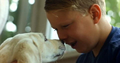 Young boy nuzzling his puppy. | Stock Video | Pond5
