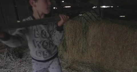 Young boy trying to grab hay with pitchf... | Stock Video | Pond5