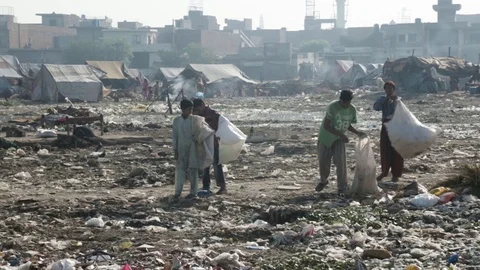 Young Boys Remove Bags Of Dumped Trash I... | Stock Video | Pond5