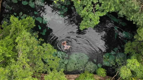 Natural Brunette P Stock Videos – Royalty-Free HD & 4K Videos