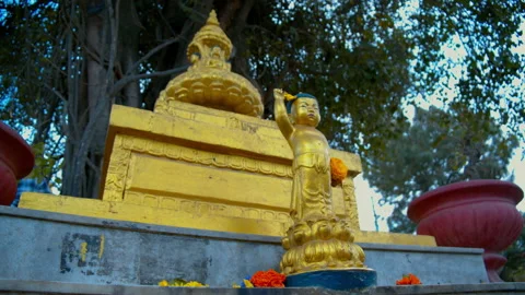 Young Buddha Statue at Monkey Temple Stu... | Stock Video | Pond5