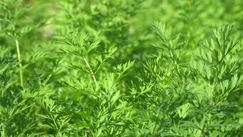 Outside Slide Stock Videos – Royalty-Free HD & 4K Videos | Pond5